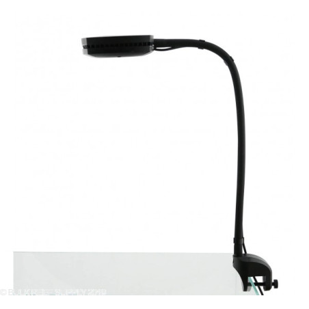 Prime Flex Arm - 12 Inch